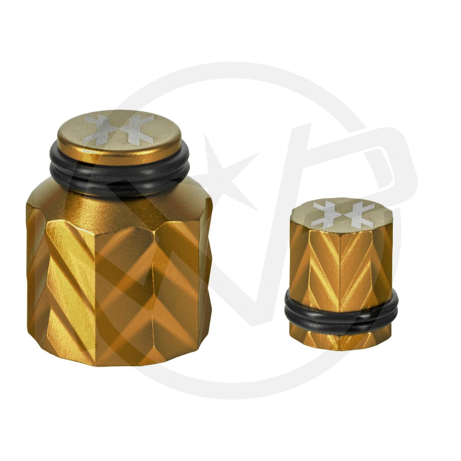 Fossil Elite Protector Kit - Gold